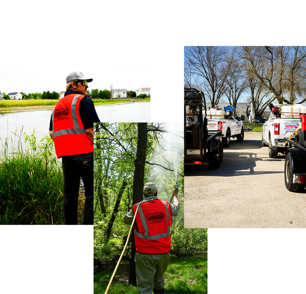 Commercial Mosquito Control | Skeeter Beater